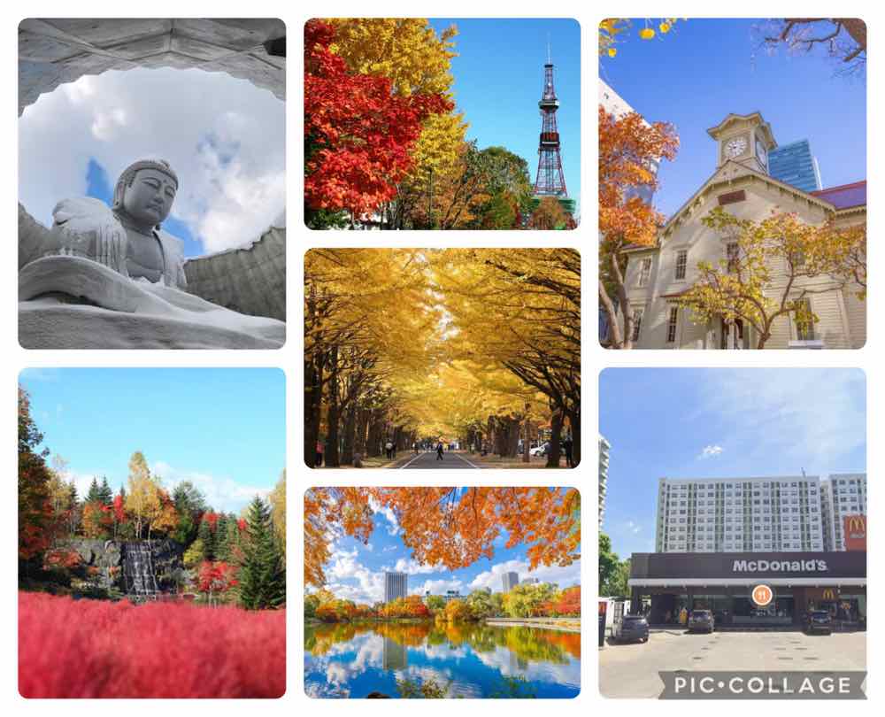 Sapporo Oct 25-26,2024 | Itineraries - Japan Travel by NAVITIME - Japan ...